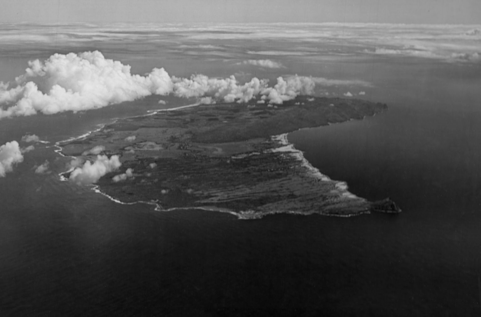 How the Niihau Incident May Have Influenced Japanese American Internment