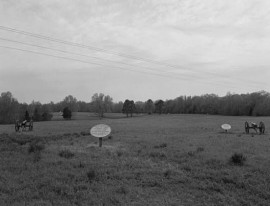jones-field-shiloh-national-battlefield-park | HistoryNet