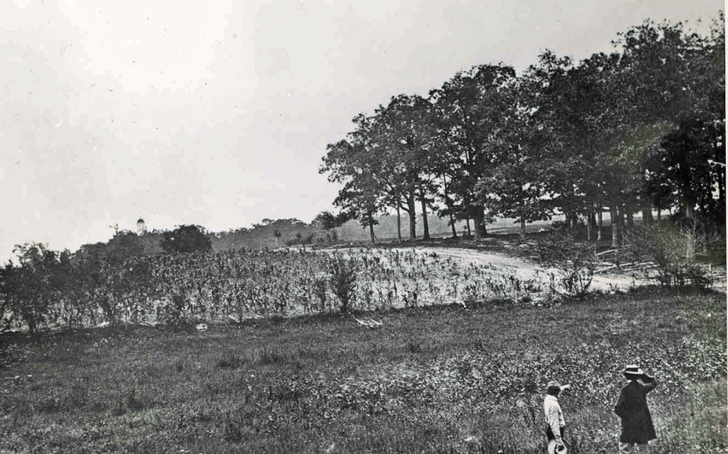 Stealing the Sun: Mathew Brady’s Gettysburg Photographs