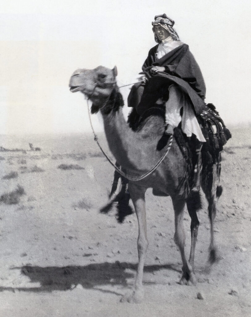 What We Learned: from the Arab Revolt