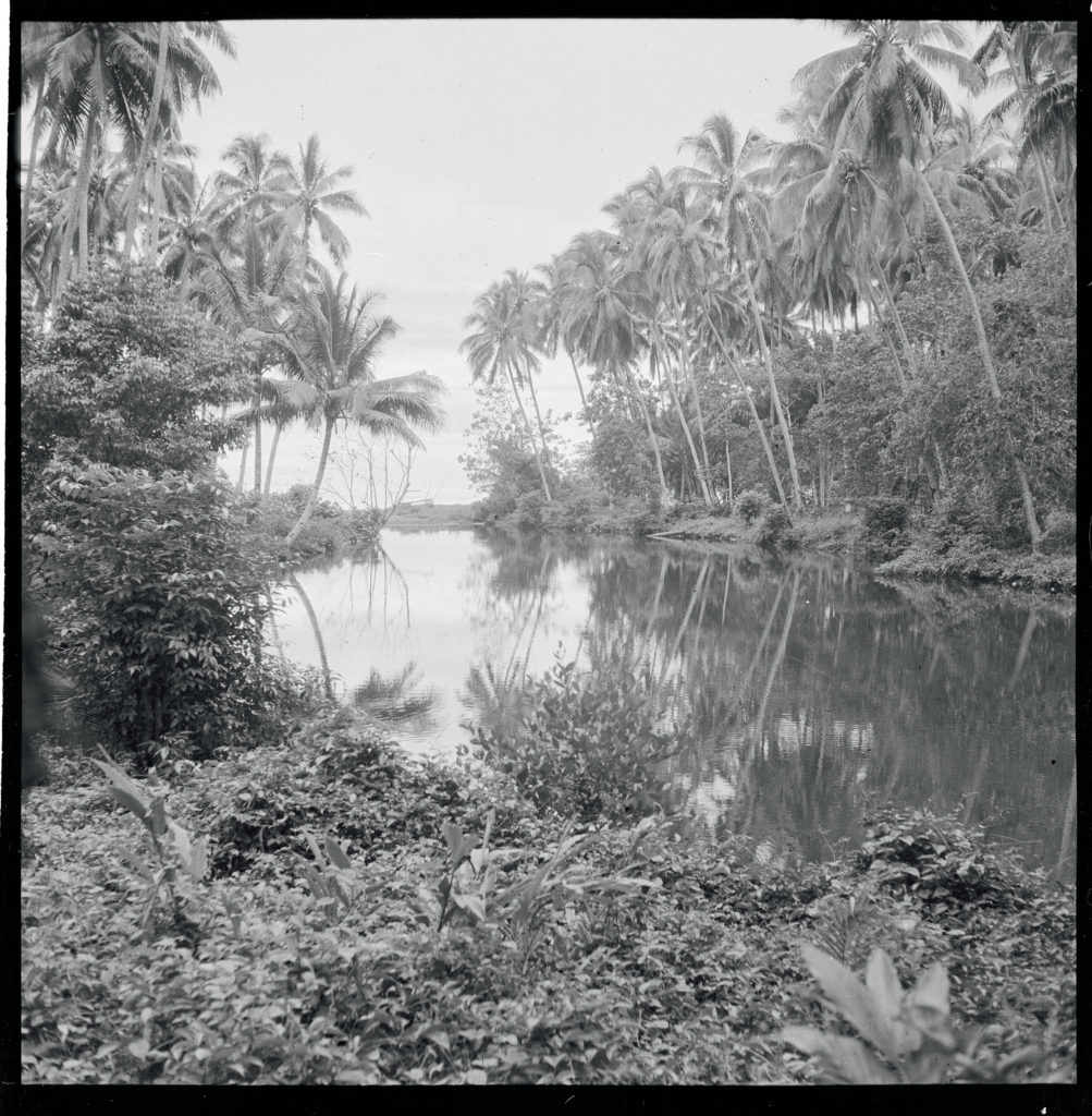 The Battle of Tenaru River