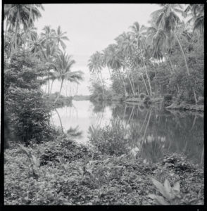 The Battle of Tenaru River