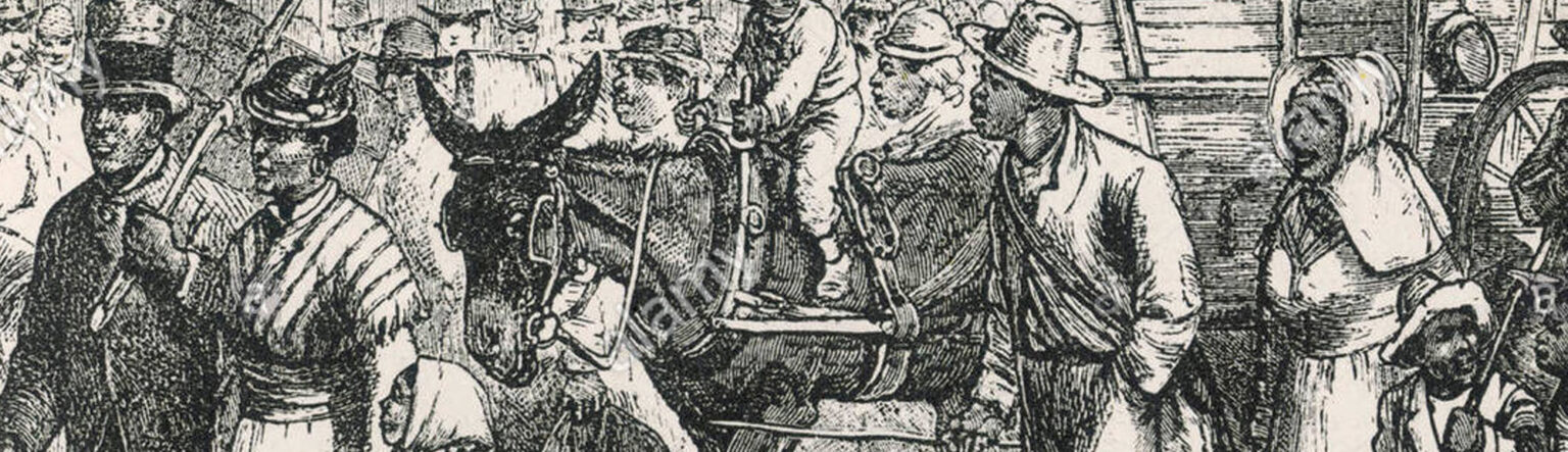 Slaves Ponder the Fears and Wonders of Freedom