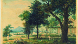 Andrew Jackson Downing: America's Original Designing Man