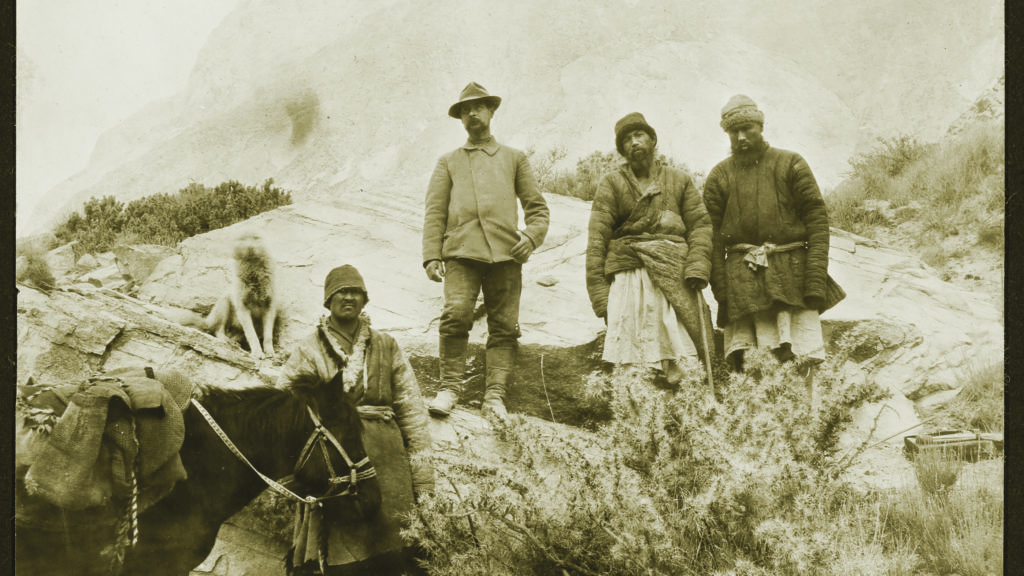 Globetrotting Botanist Introduced America to Plum Plant Specimens