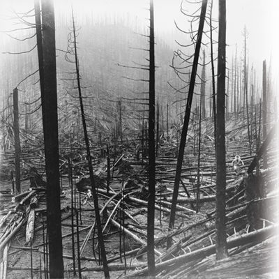 America's Worst Wildfire: The Big Burn of 1910