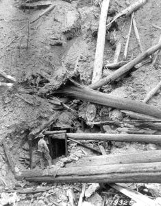 America's Worst Wildfire: The Big Burn of 1910