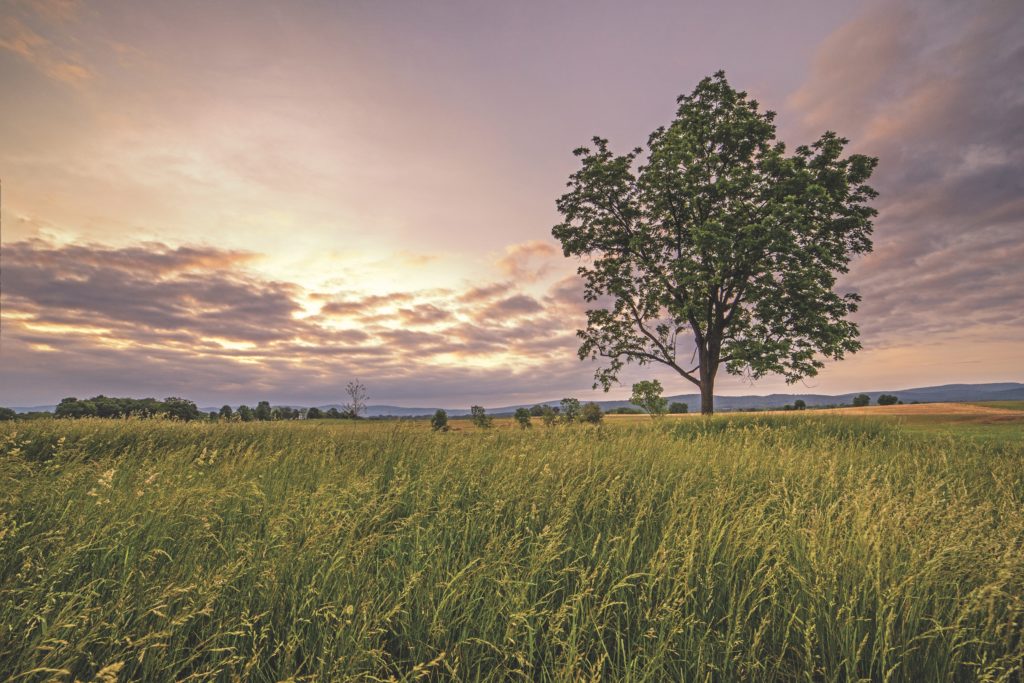 Explore Antietam: A Bucolic Setting for a Bloody Day