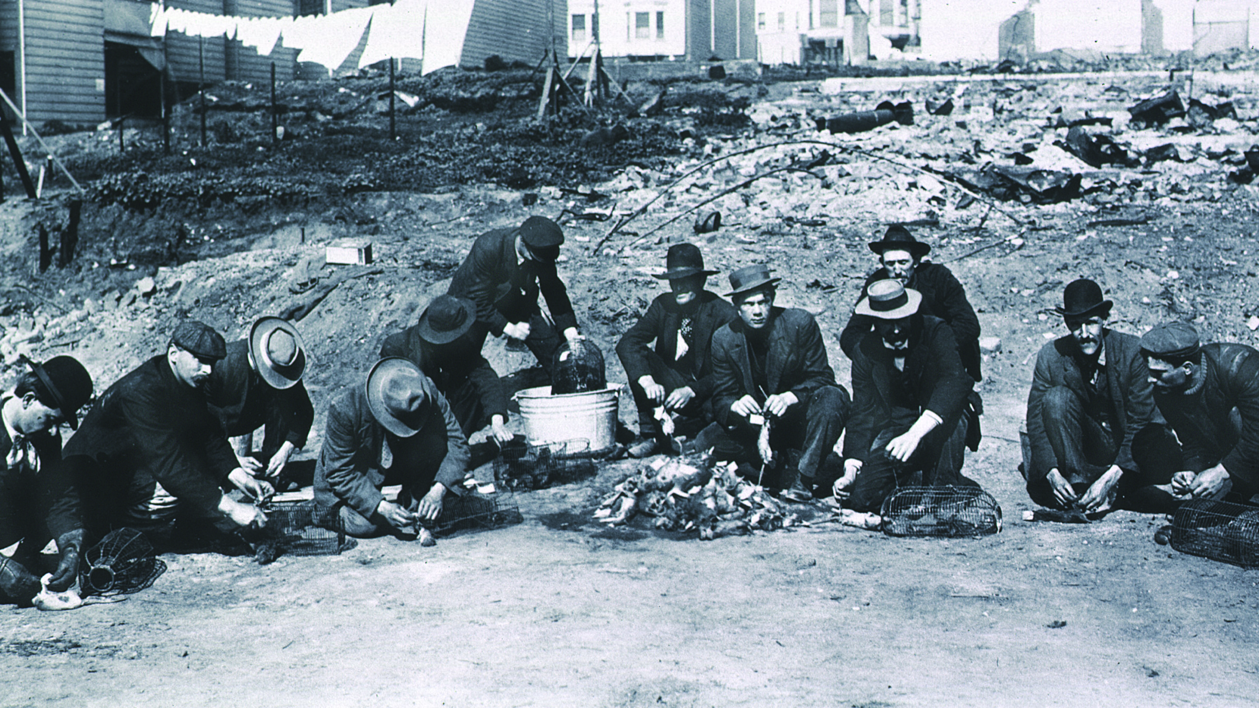 How Surgeon General Rupert Blue Became America's Heroic Microbe Hunter