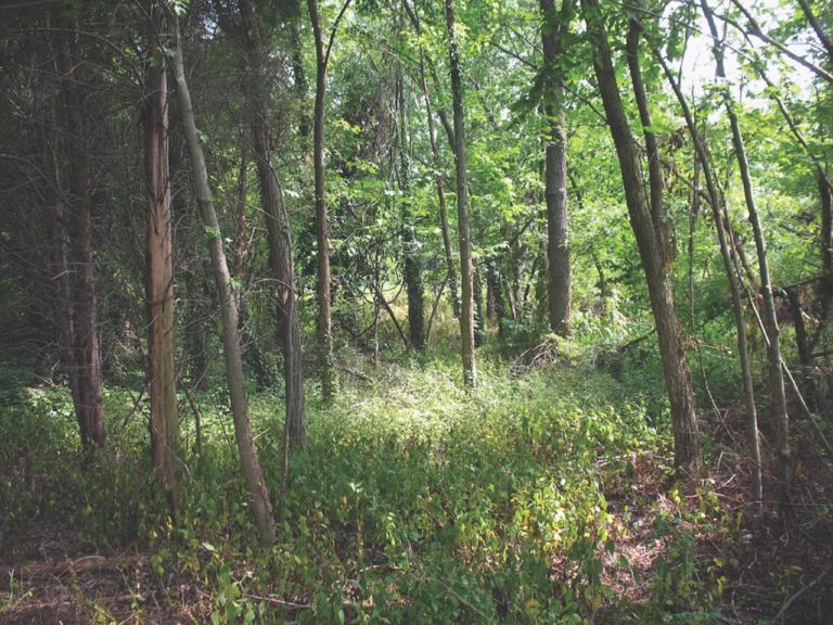 A Look at John Wilkes Booth's Escape Route After Assassinating Lincoln