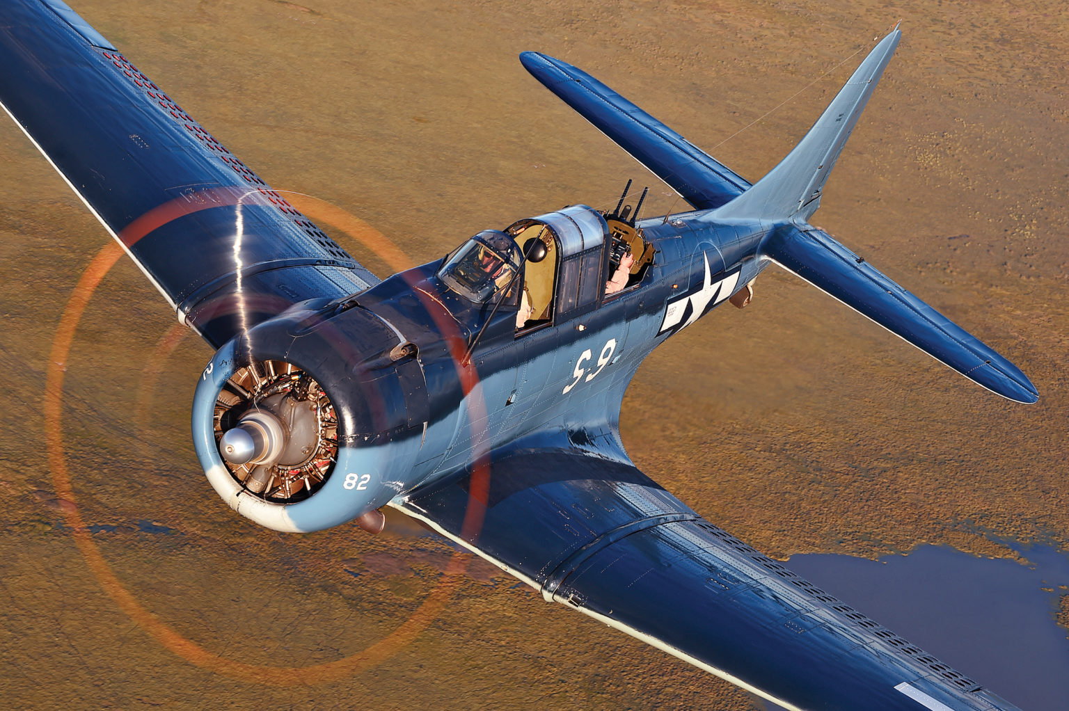 Dauntless Forever: The Dive Bomber That Changed the Course of World War II