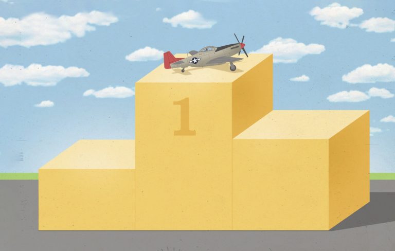 An Ode to the P-51 Mustang