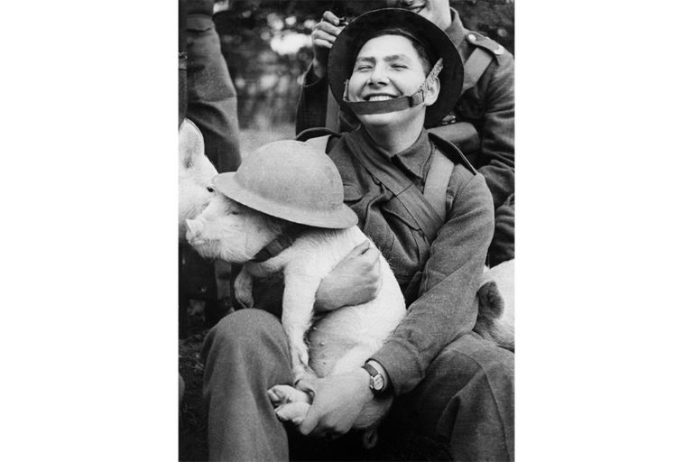 Gallows Humor: The 'Lighter' Side of War