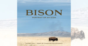 ‘Bison’ Book Review