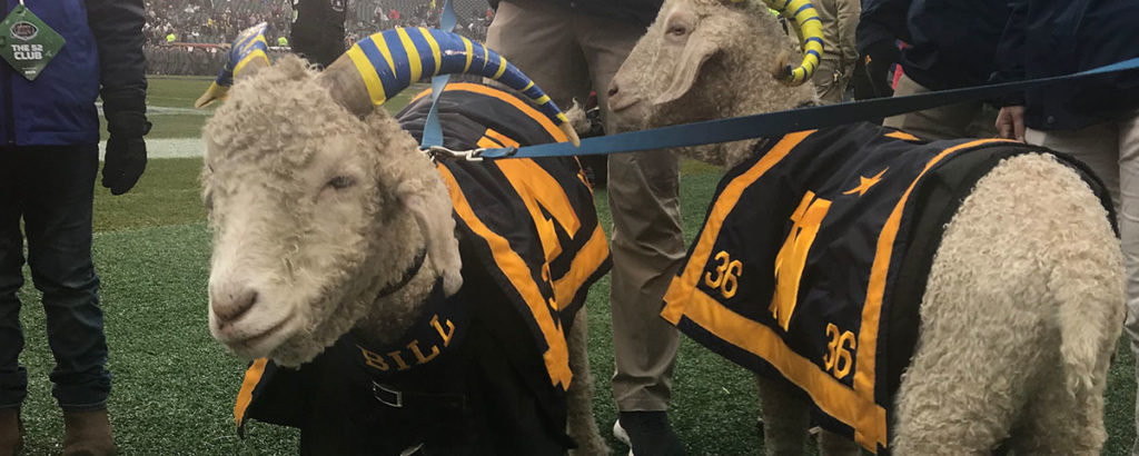 Army Cadets Observe the Time-Honored Tradition of Stealing the Navy’s ...