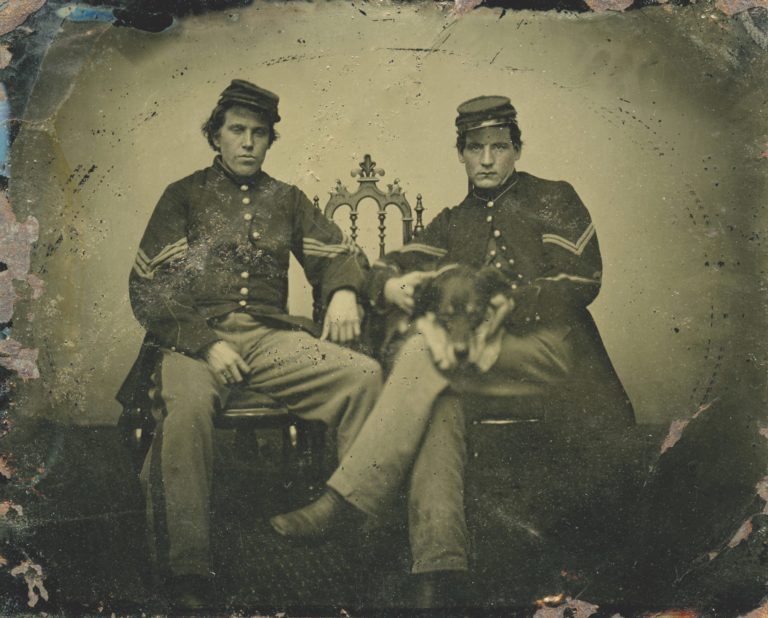 A Famous Dog of the Civil War: The Very Good Boy Who Fought (and ...