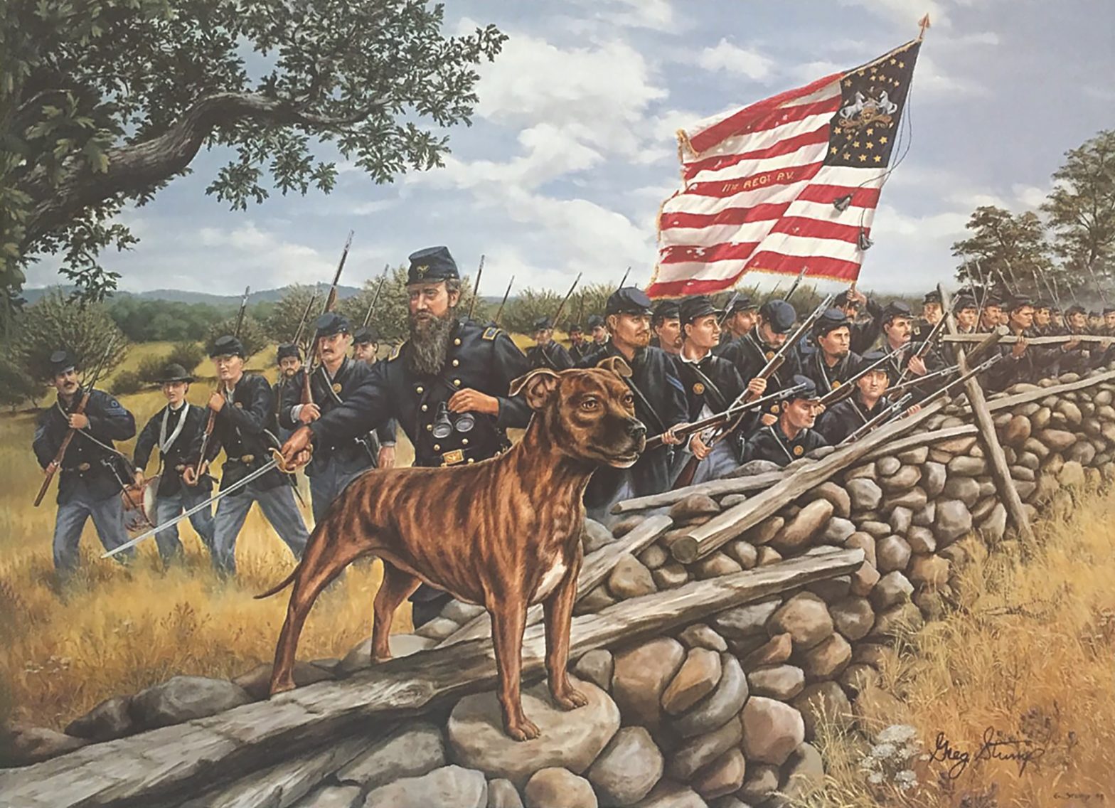 After the Carnage of Antietam, Man's Best Friend Stood Loyally By
