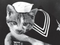 HistoryNet: Your Authoritative Source for U.S. & World History