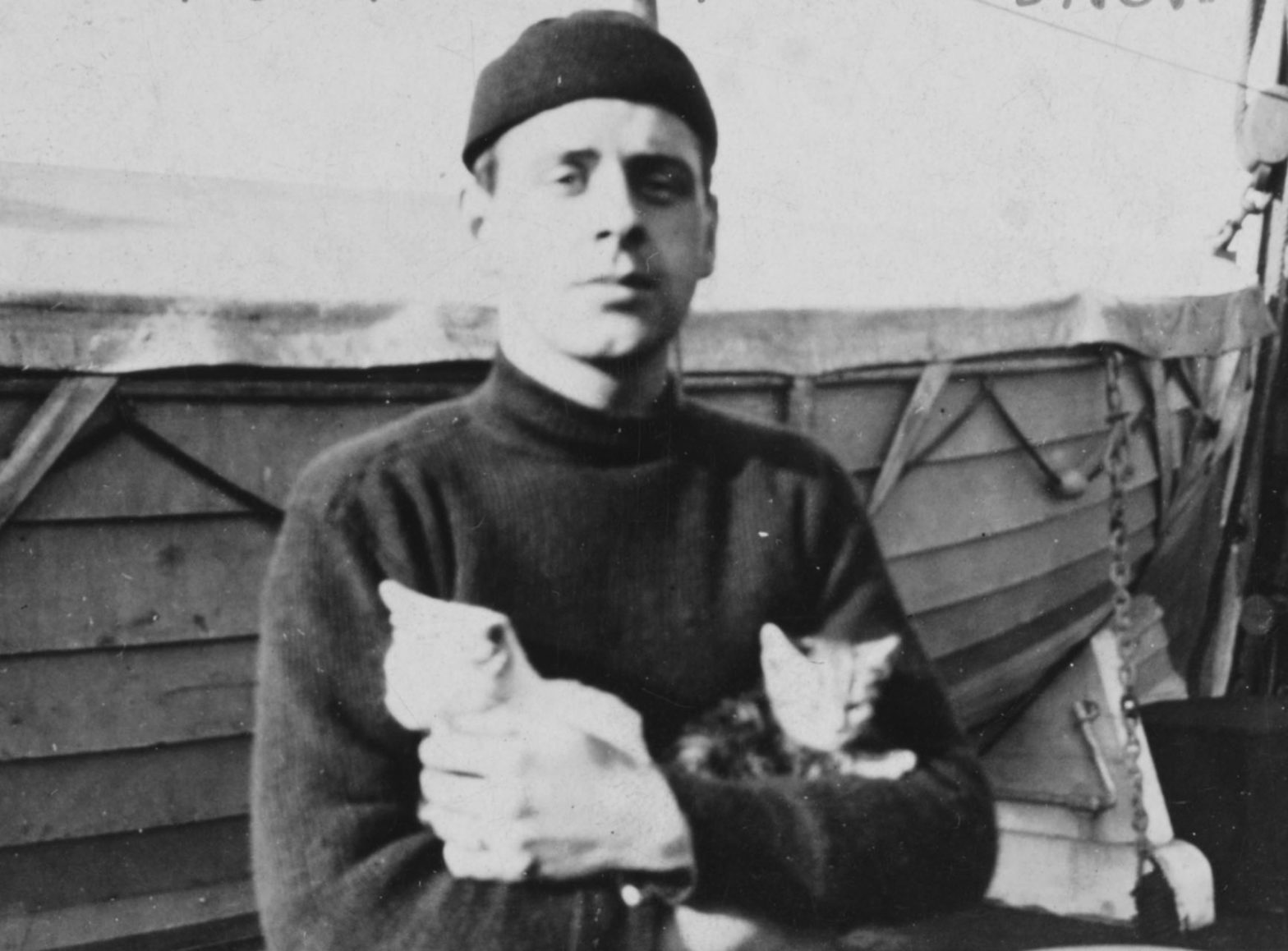 'Cats in the Navy': Book Explores the Secret Life of Sea Cats