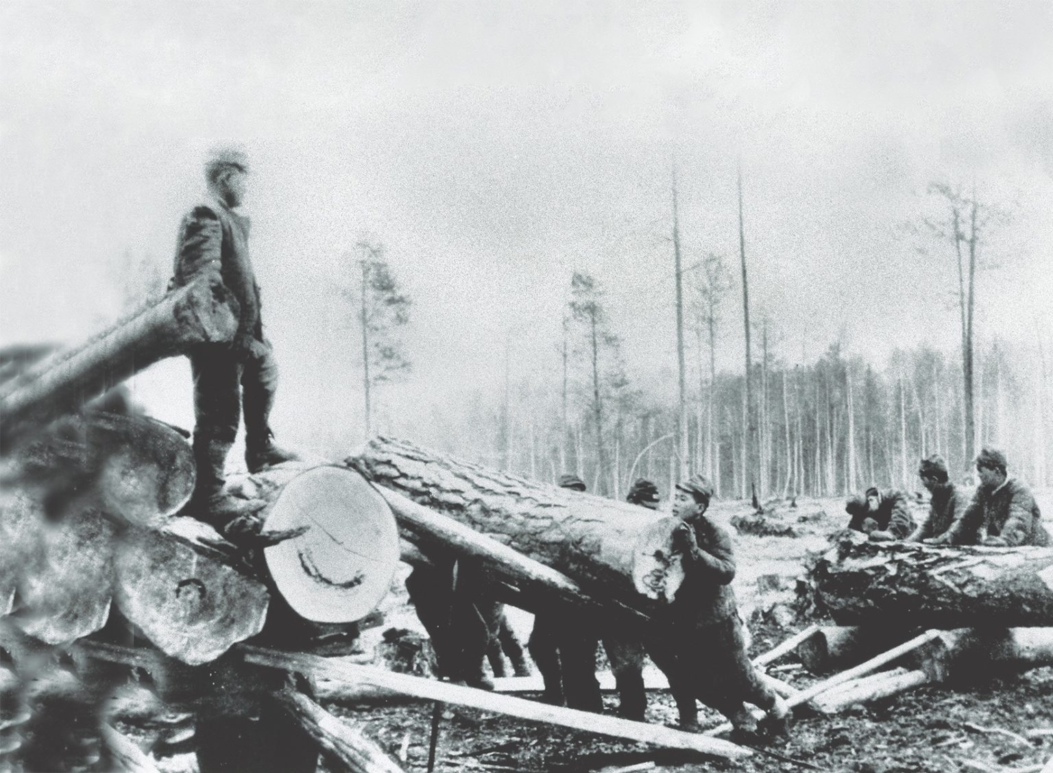 Did the Soviets Treat Japanese POWs as Badly as German Ones?