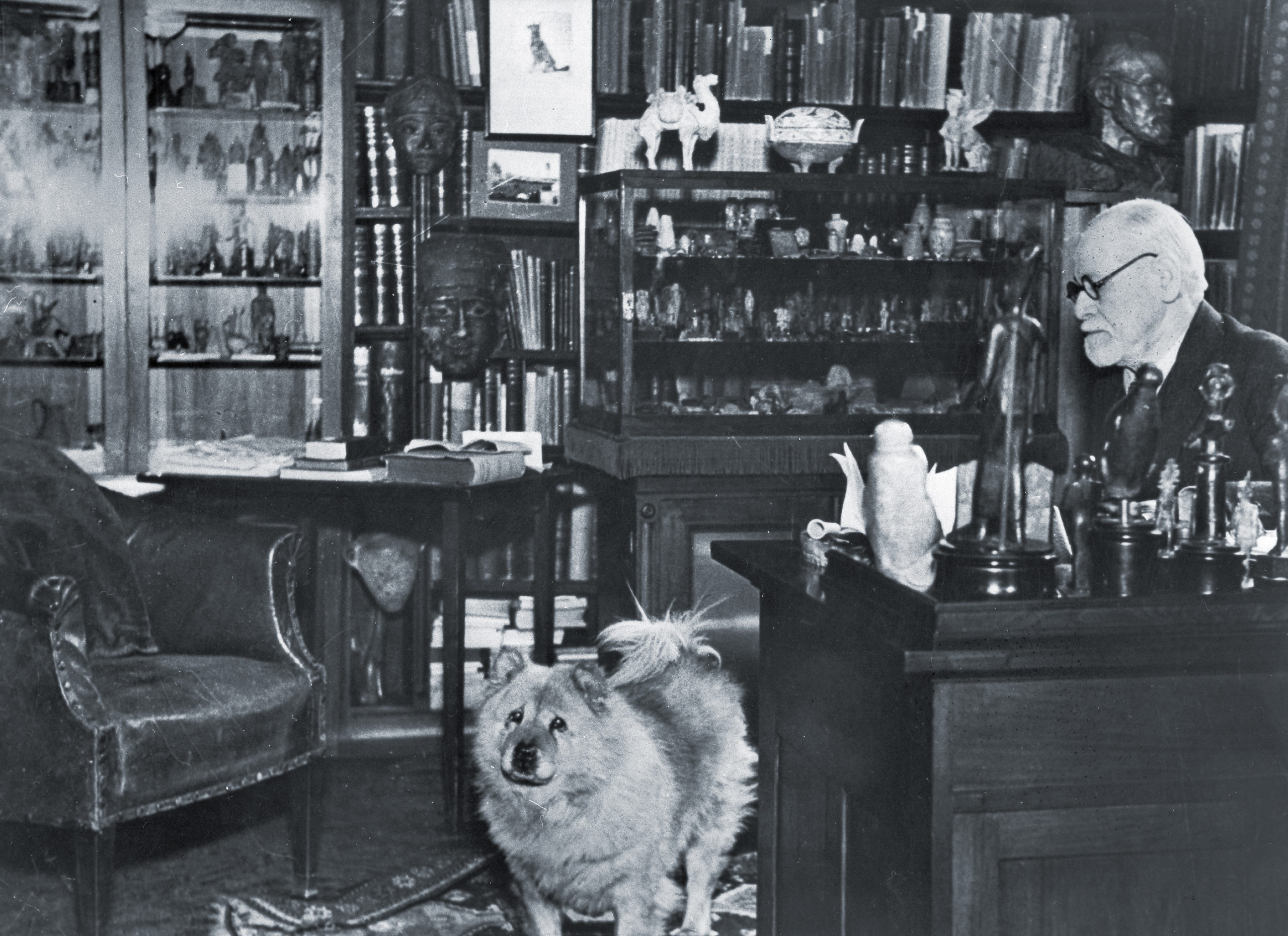 Sigmund Freud, Austrian psychiatrist, with his dog in his study in ...