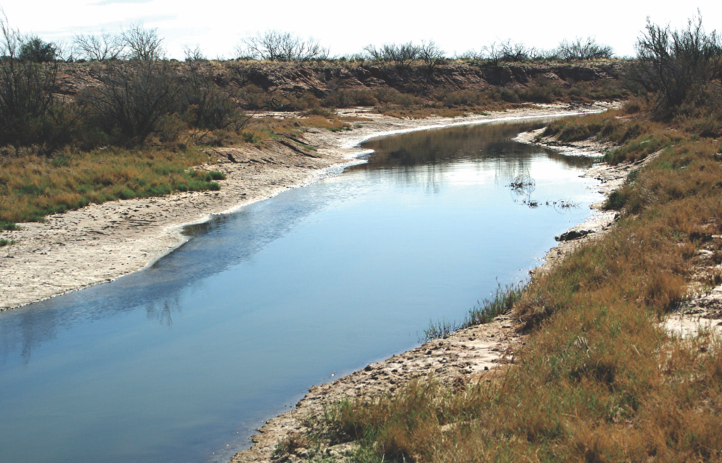 The Perils of the Pecos: Where Cattlemen Lost Their Nerve