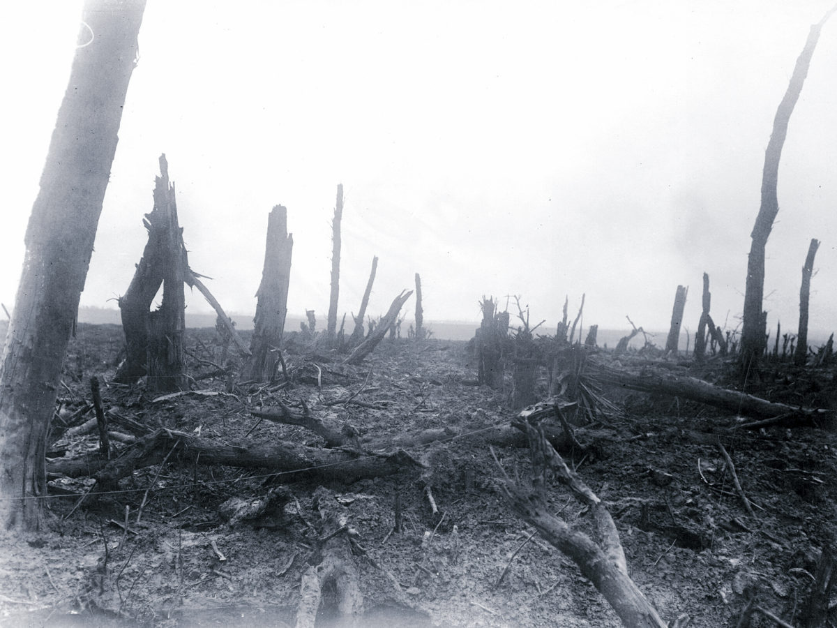 nature Archives | HistoryNet