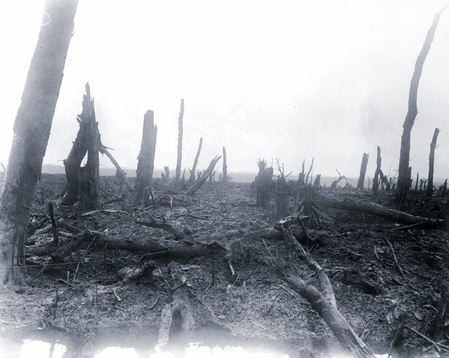damage-nature-world-war-I-mhq-nl-august-2022 | HistoryNet