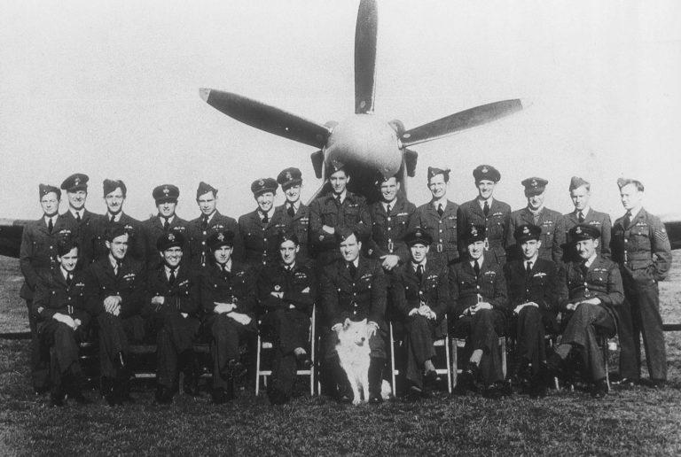 Spitfire Ace Colin Gray: High Flying Kiwi