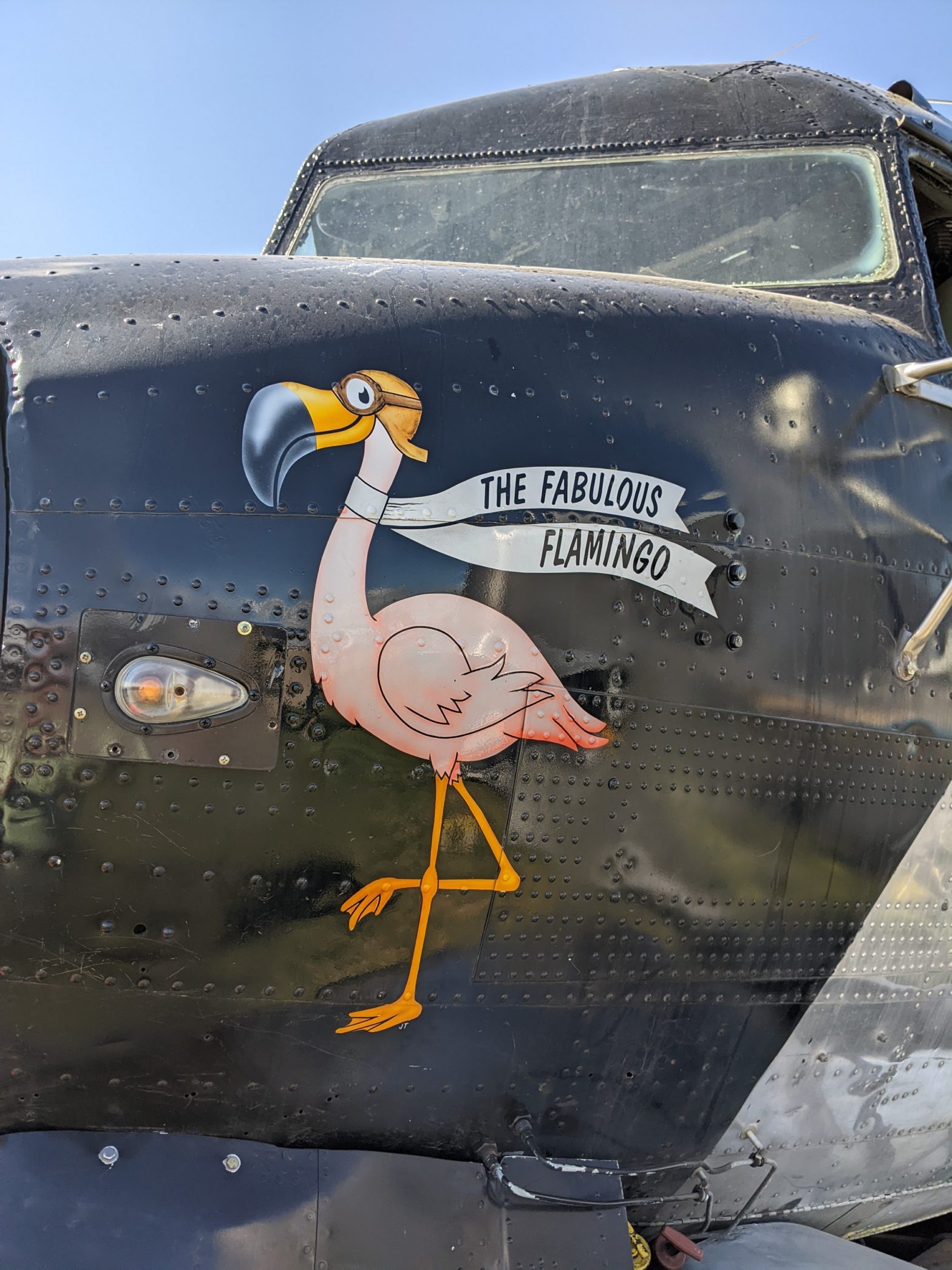 It's a Plane! It's a Van! It's the Flying Flamingo!