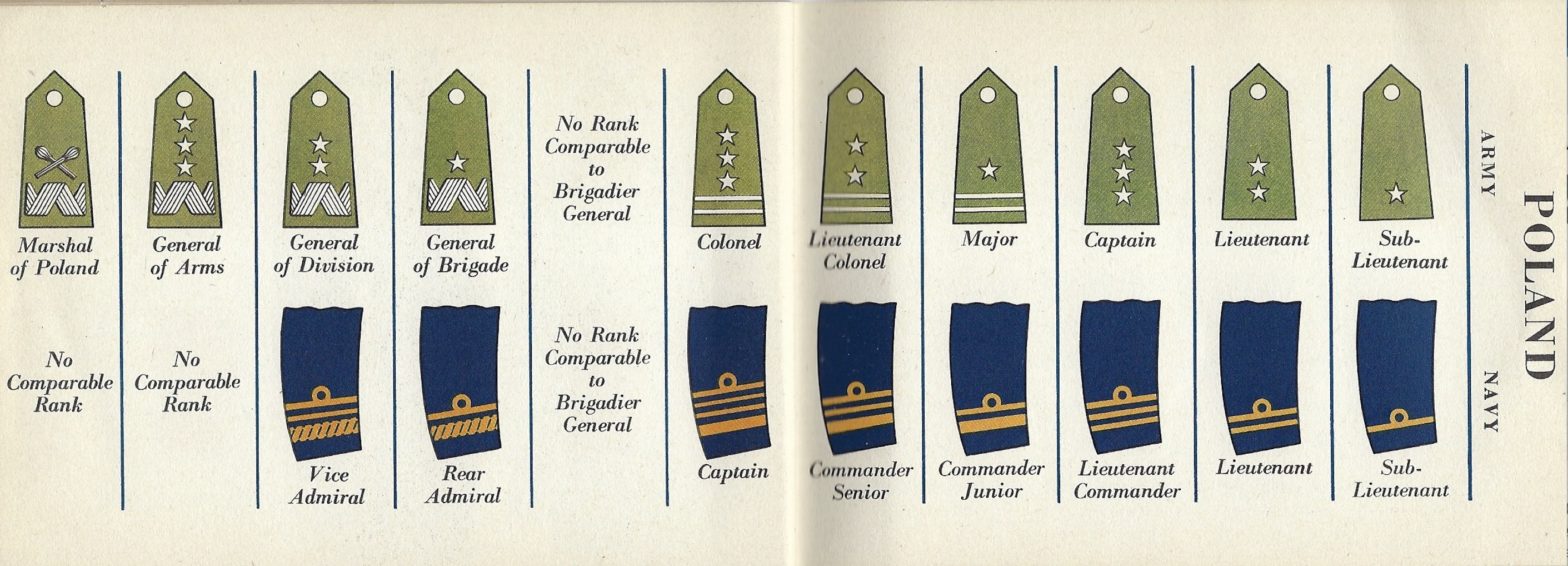 Everything You Wanted to Know about WWII Uniform Insignia (But Were ...