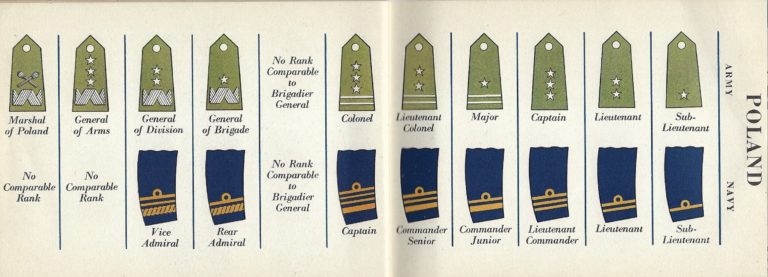 Everything You Wanted to Know about WWII Uniform Insignia (But Were ...