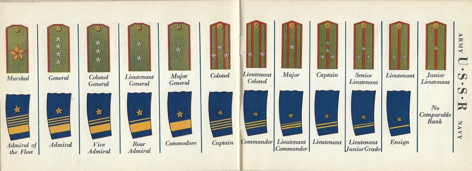 Everything You Wanted to Know about WWII Uniform Insignia (But Were ...