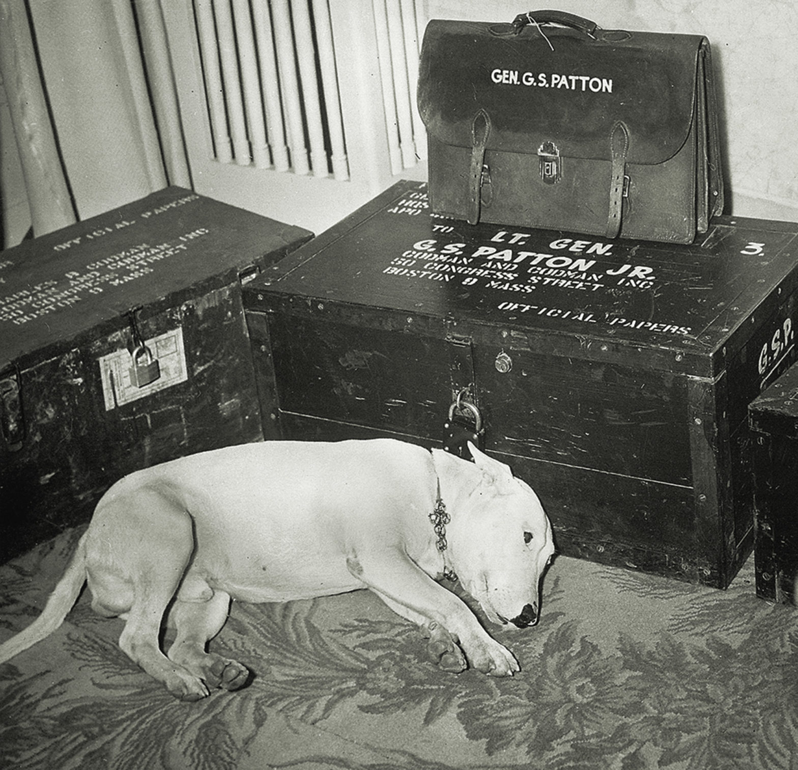 Was Patton Murdered?