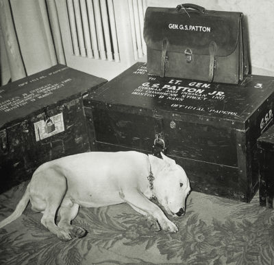 Was Patton Murdered?