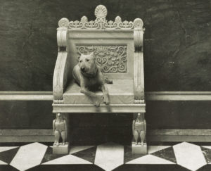 How Patton Saw the War—In His Own Photographs