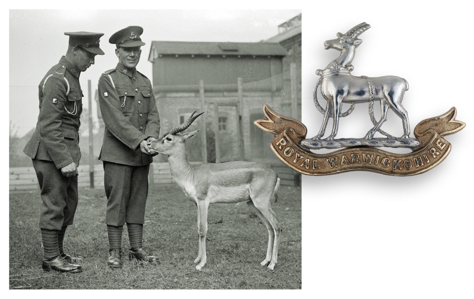 A Look At The Legends Behind British Cap Badge Symbols