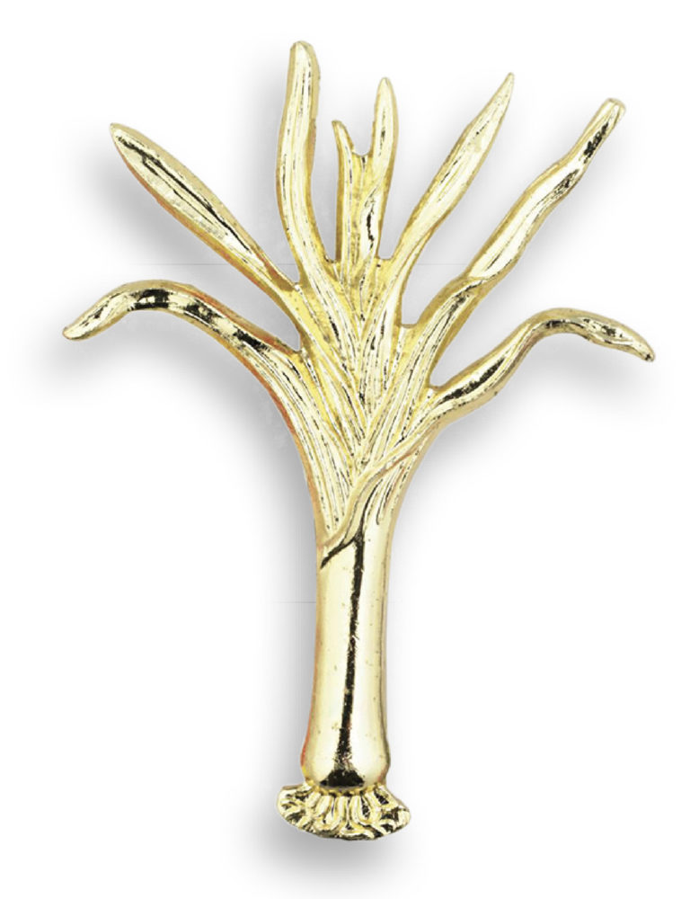 cap-badges-welsh | HistoryNet