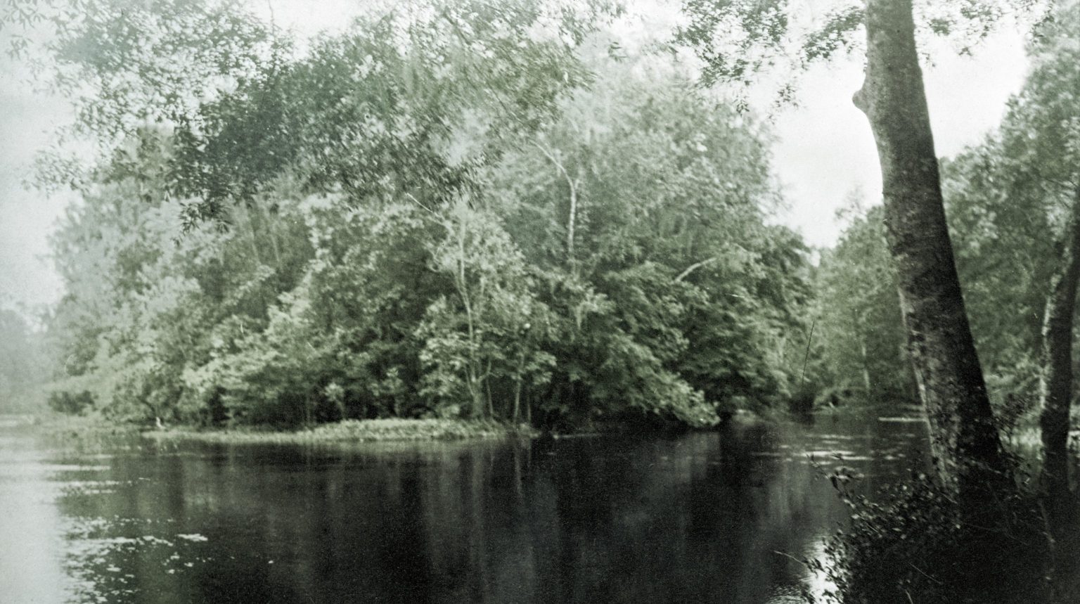 How a Rebel Victory at Natural Bridge Gave Florida a Slice of History