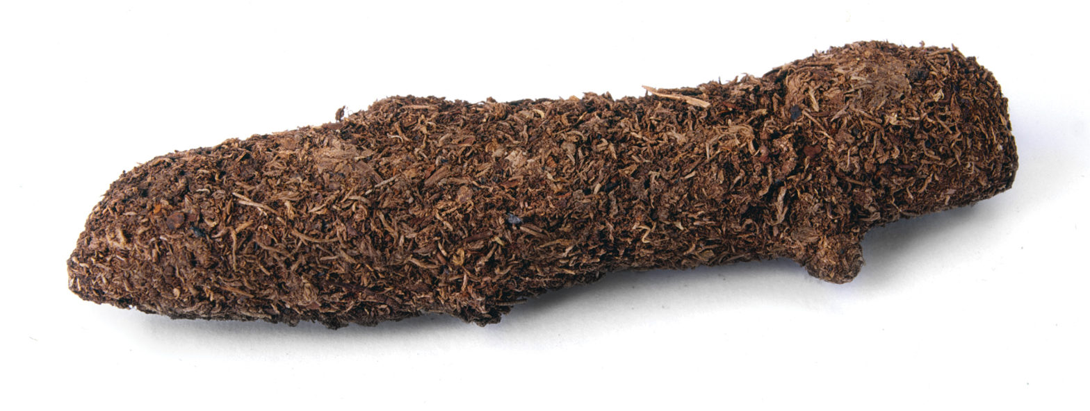 Cold War Devices of Deception