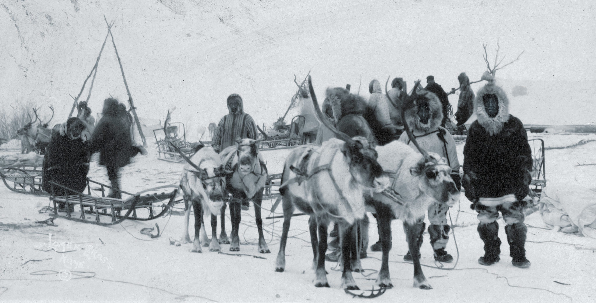 There Was Much Money to Be Made in Reindeer Herding. Newcomers and ...