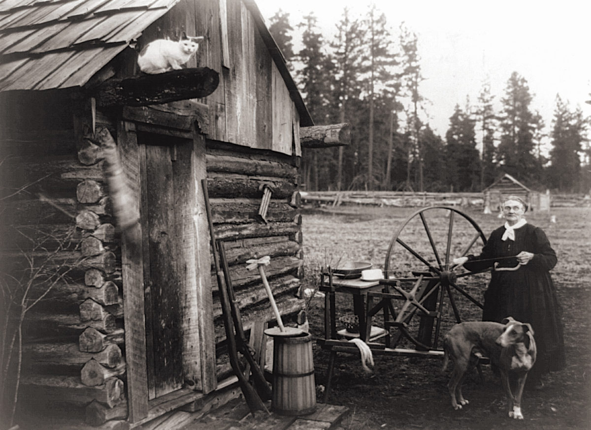How Feral Cats Fared in the Wild West