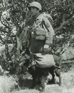 The US Army Envisioned Using Dogs in the Pacific to Sniff Out Enemy ...