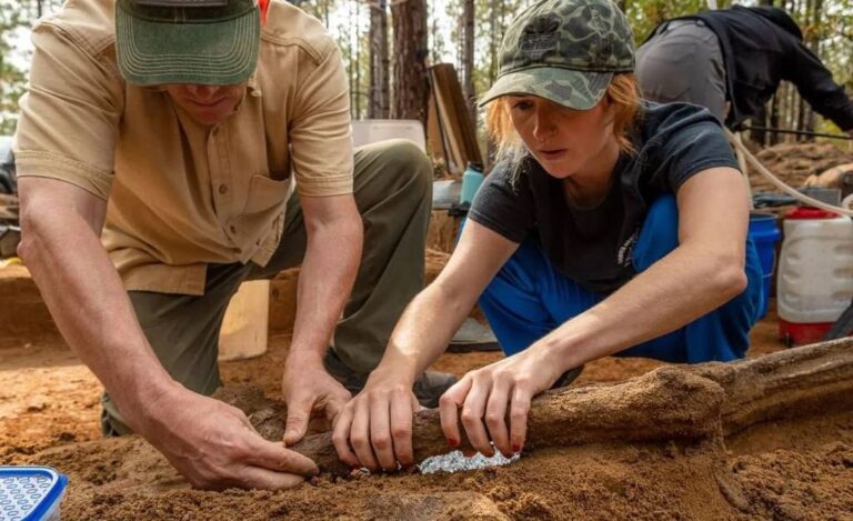 Excavation Team Rev War | HistoryNet
