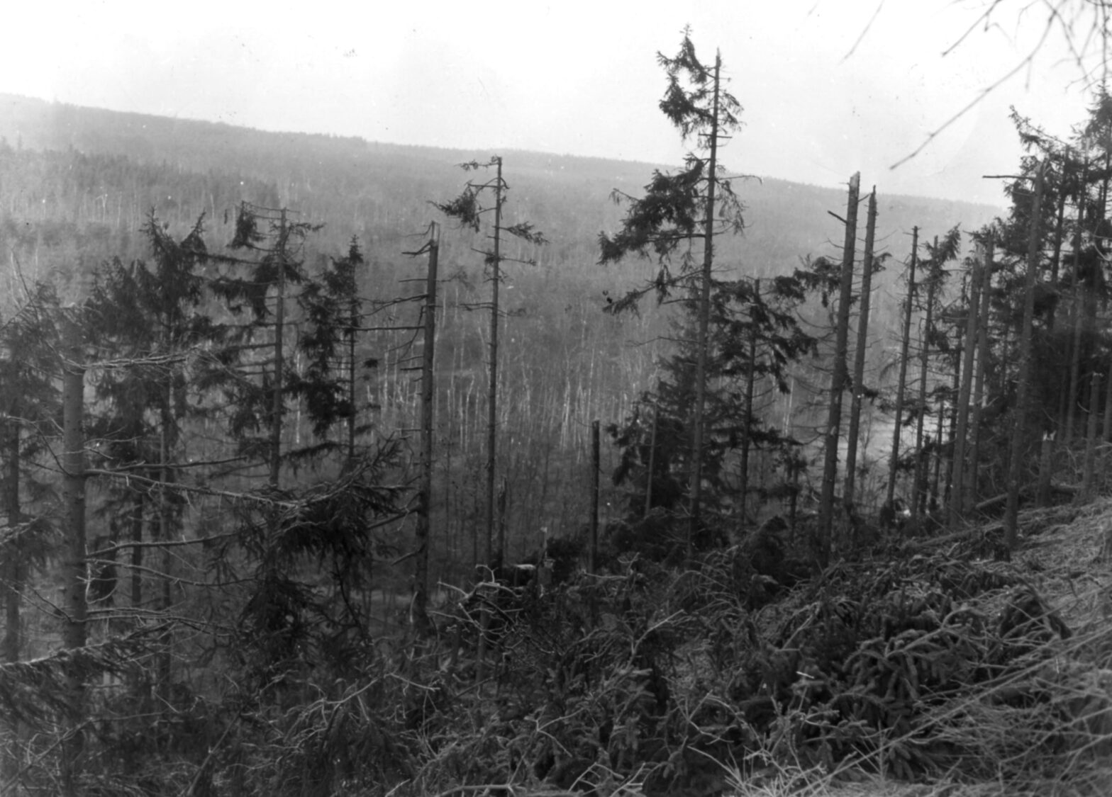 He Was Wired to A Mine for 70 Hours In World War II – And Survived.