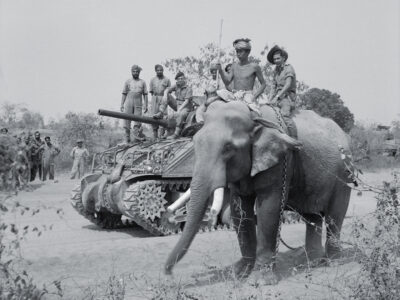 Animals of War Archives | HistoryNet