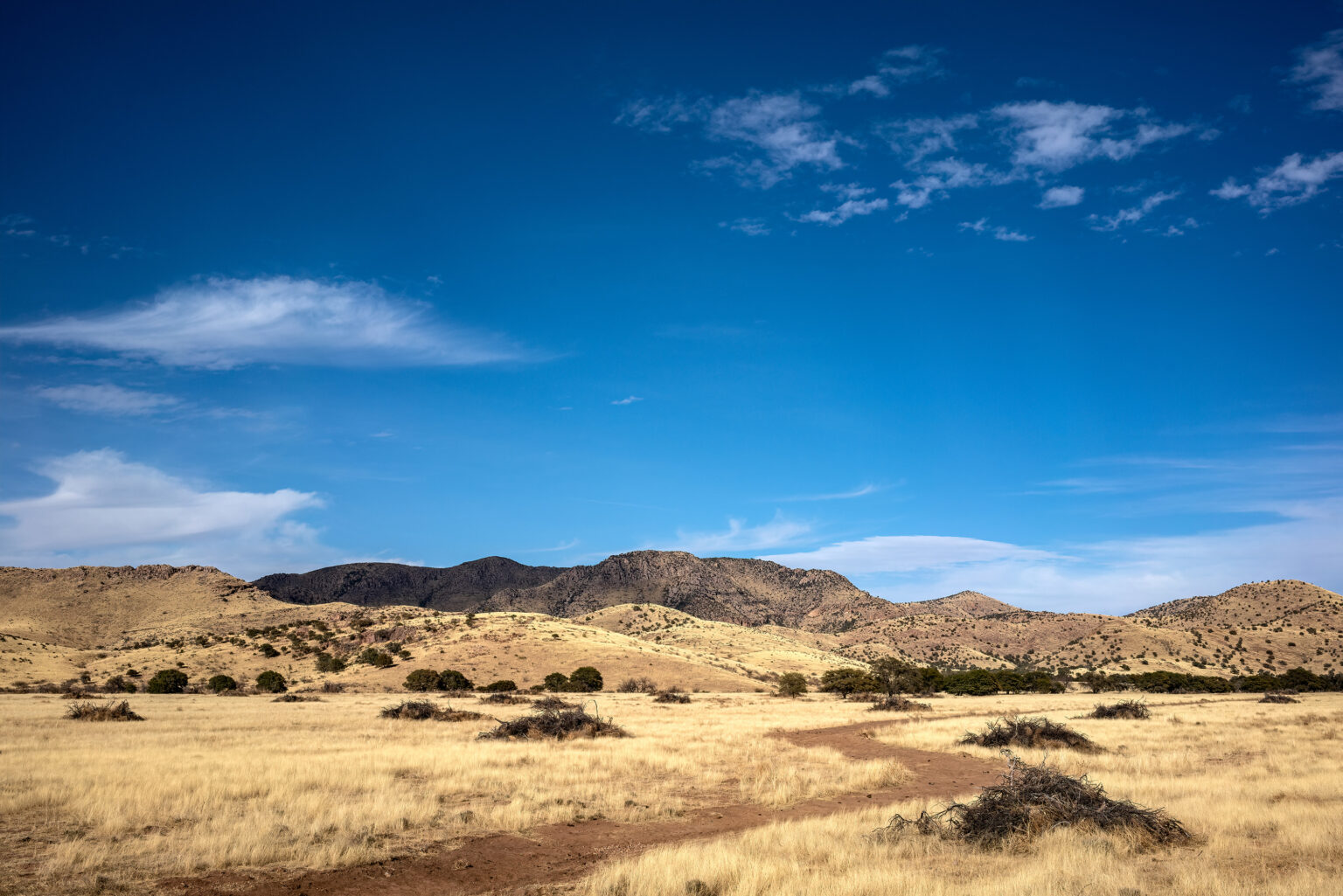 The Mysterious Death of Johnny Ringo